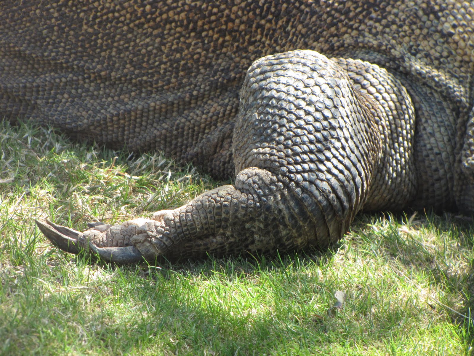 Em's Joie de Weird: Neither Rain, Nor Sleet, Nor Giant, Marauding ...