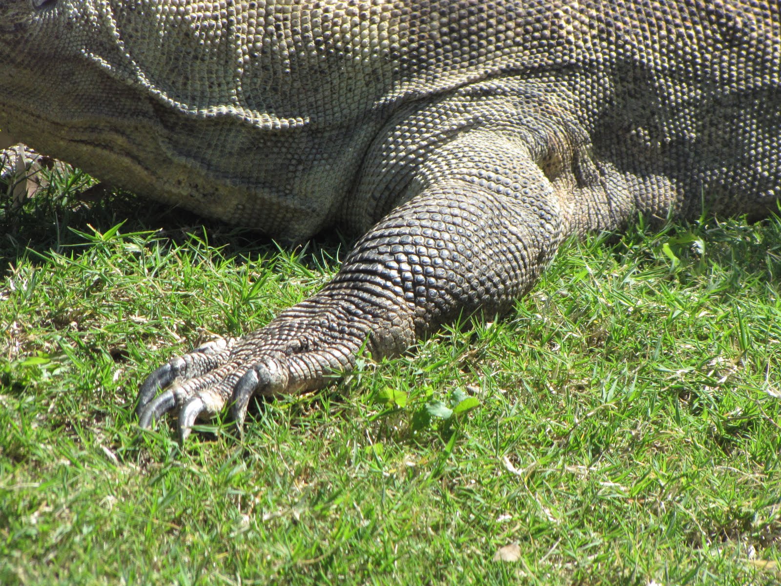 Em's Joie de Weird: Neither Rain, Nor Sleet, Nor Giant, Marauding ...