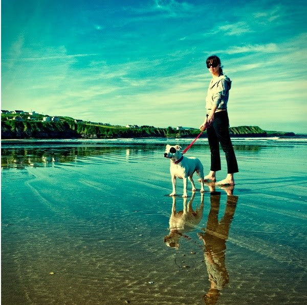 Welcome to visuallyART: Amazing Examples of Reflection Photography