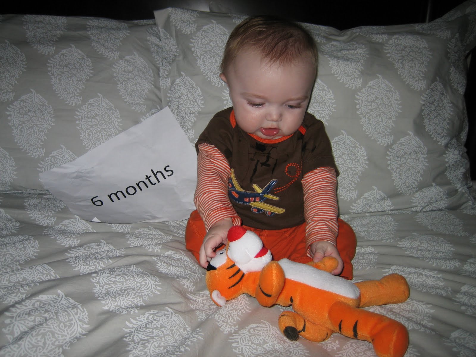 Three Feet Tall and Bullet Proof