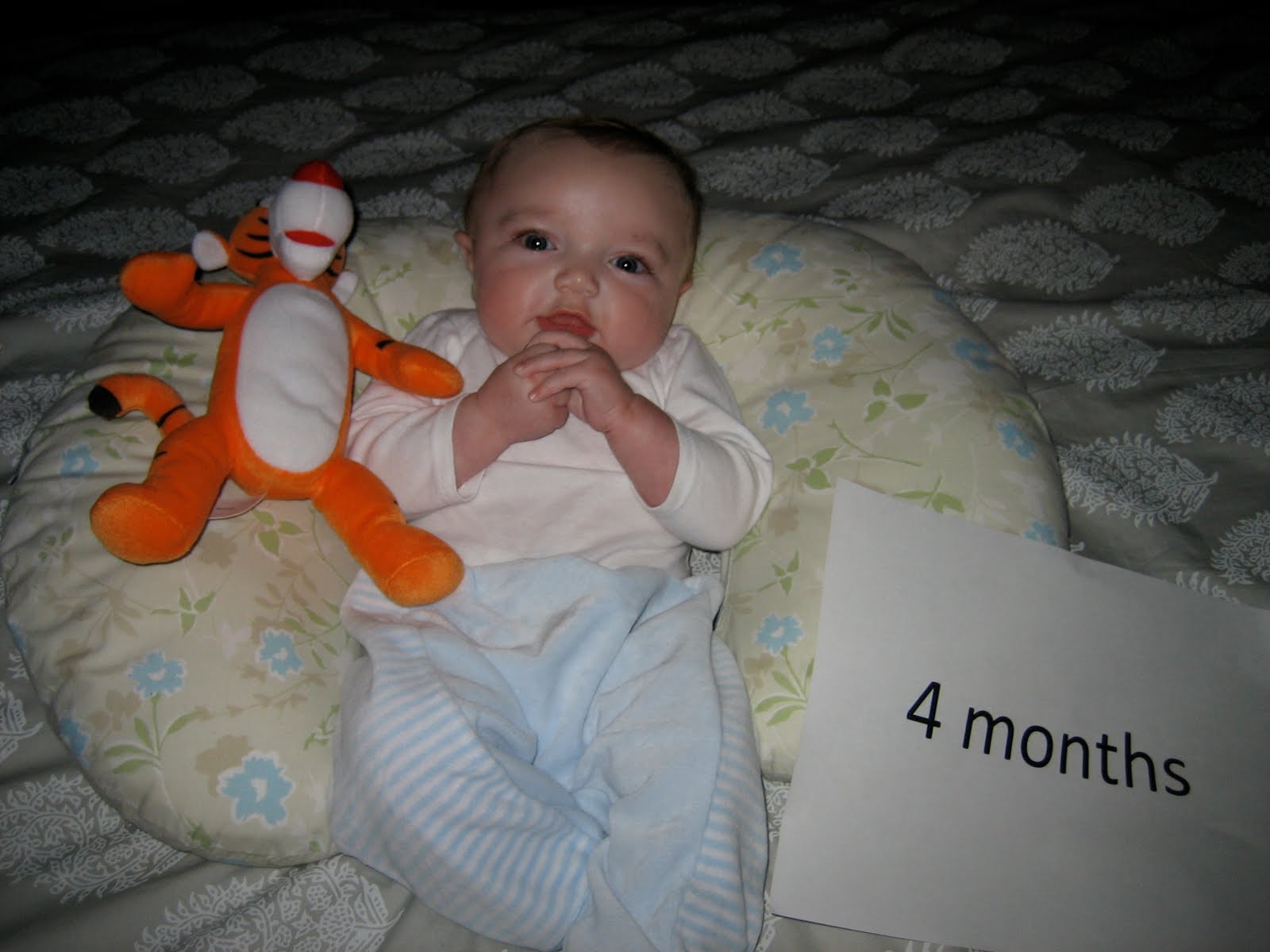 Three Feet Tall and Bullet Proof