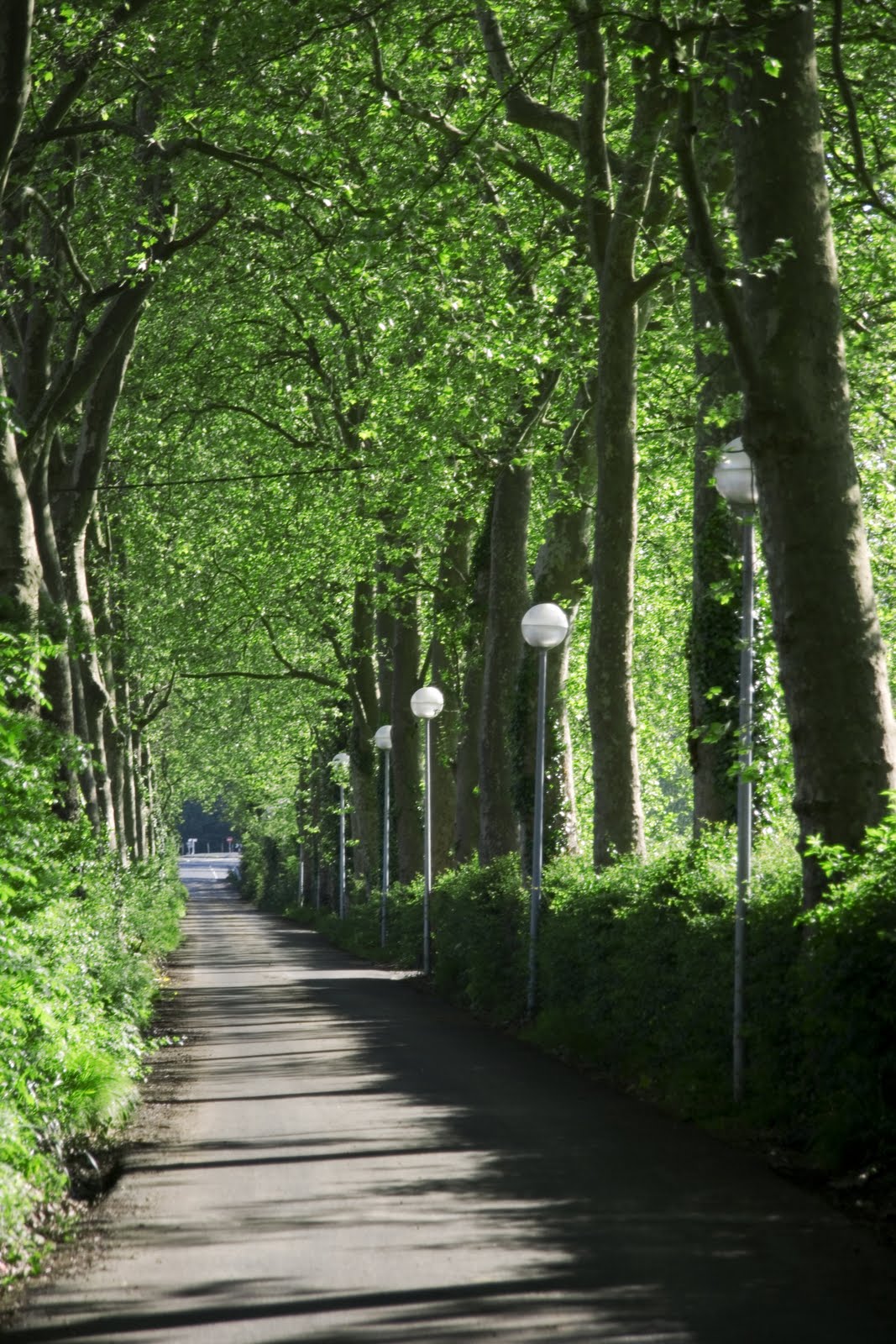 Imagen tecnologica (Amaia Herrero)