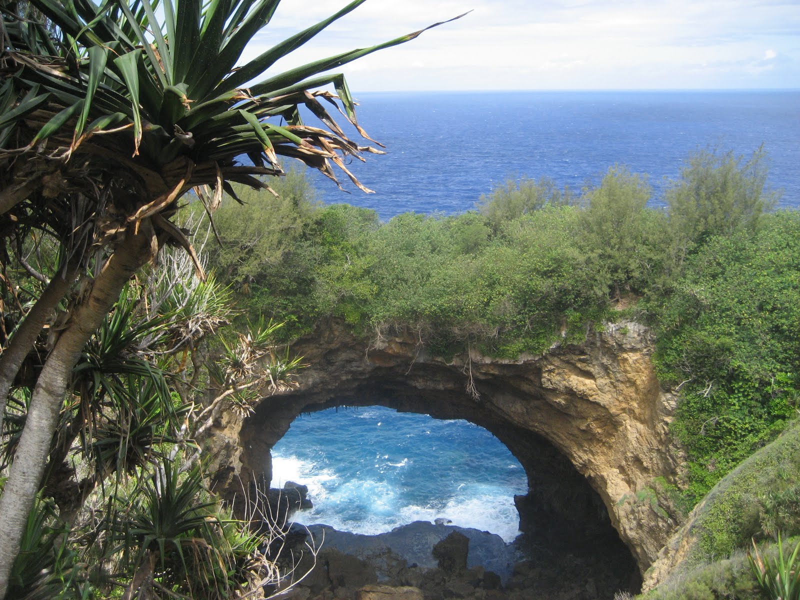Intensive Share: Tonga Holiday, part 4