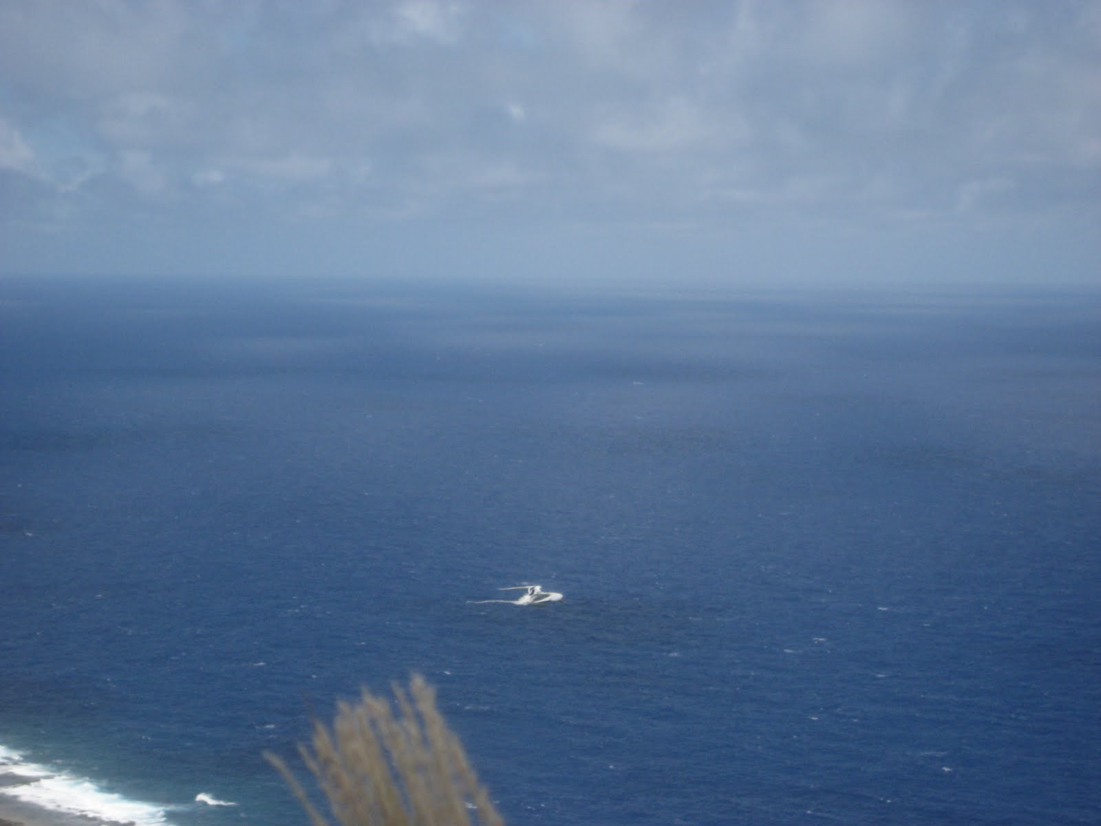 Intensive Share: Tonga Holiday, part 4