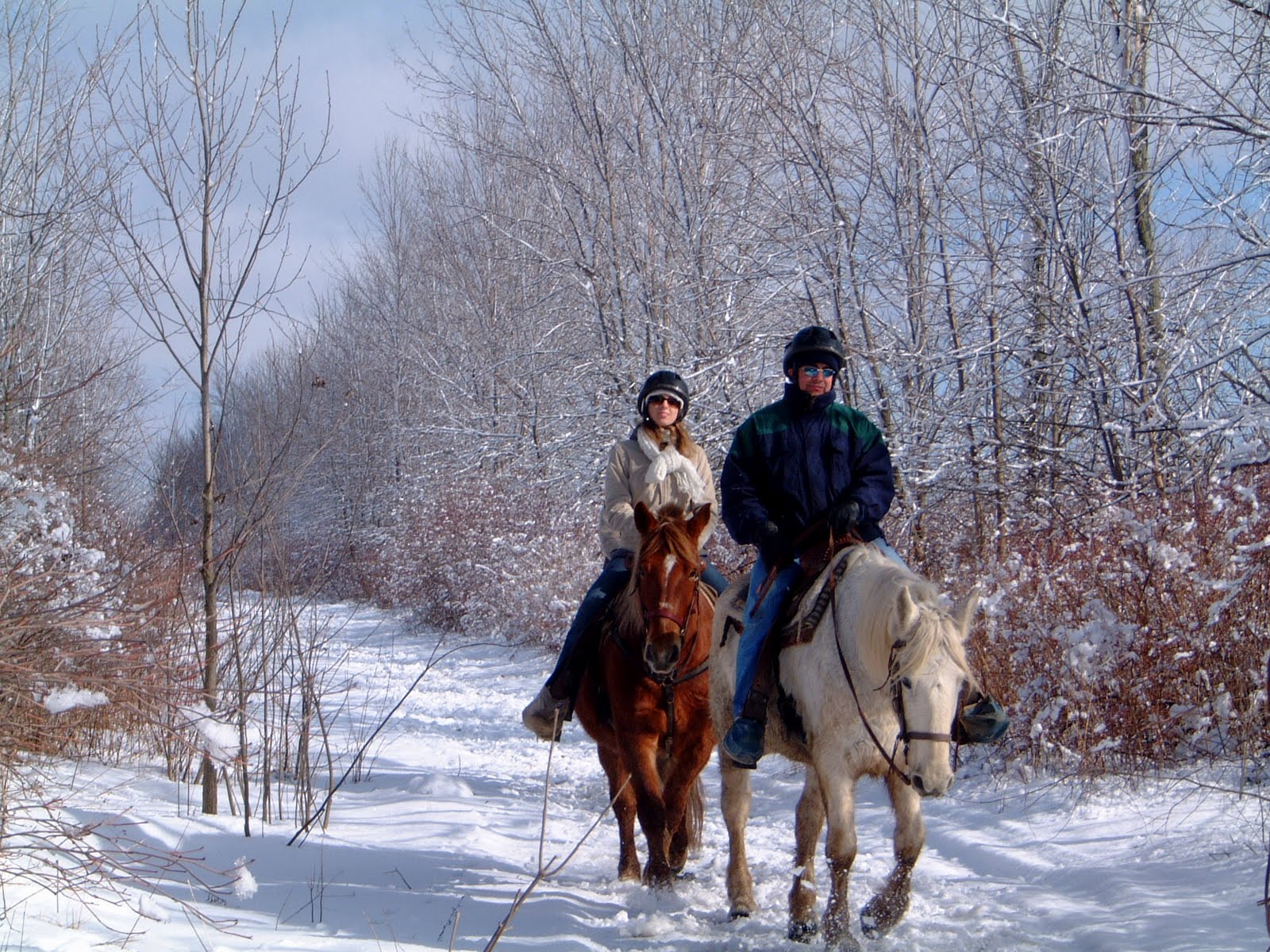 High Mountain Cabin Rentals: Horseback Riding in the Winter!
