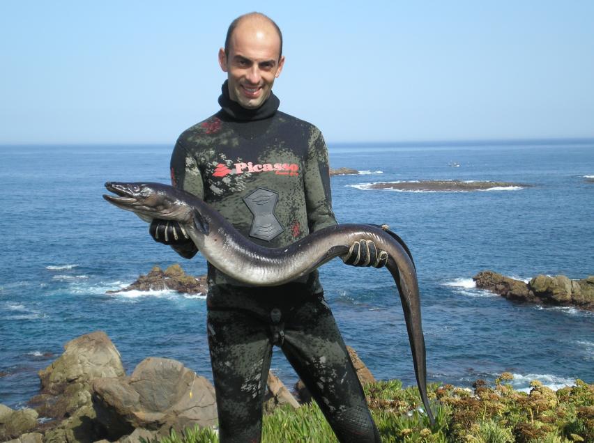 caça submarina em Portimão: caçadas do amigo Pedro