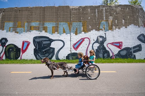 The Dog Wagon, Part 2 | sweet juniper!