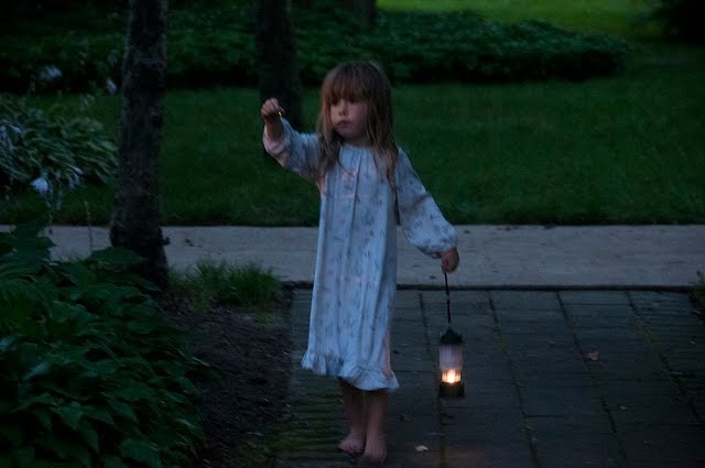 Chasing Fireflies | Something Fun Every Day