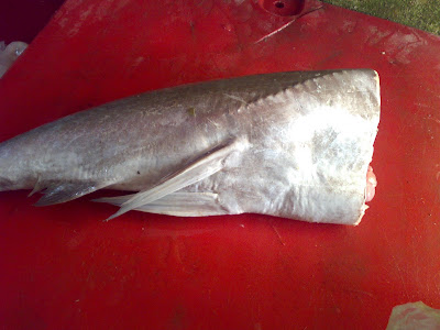 Cebisan Kenangan Dalam Kehidupan: ikan mayong