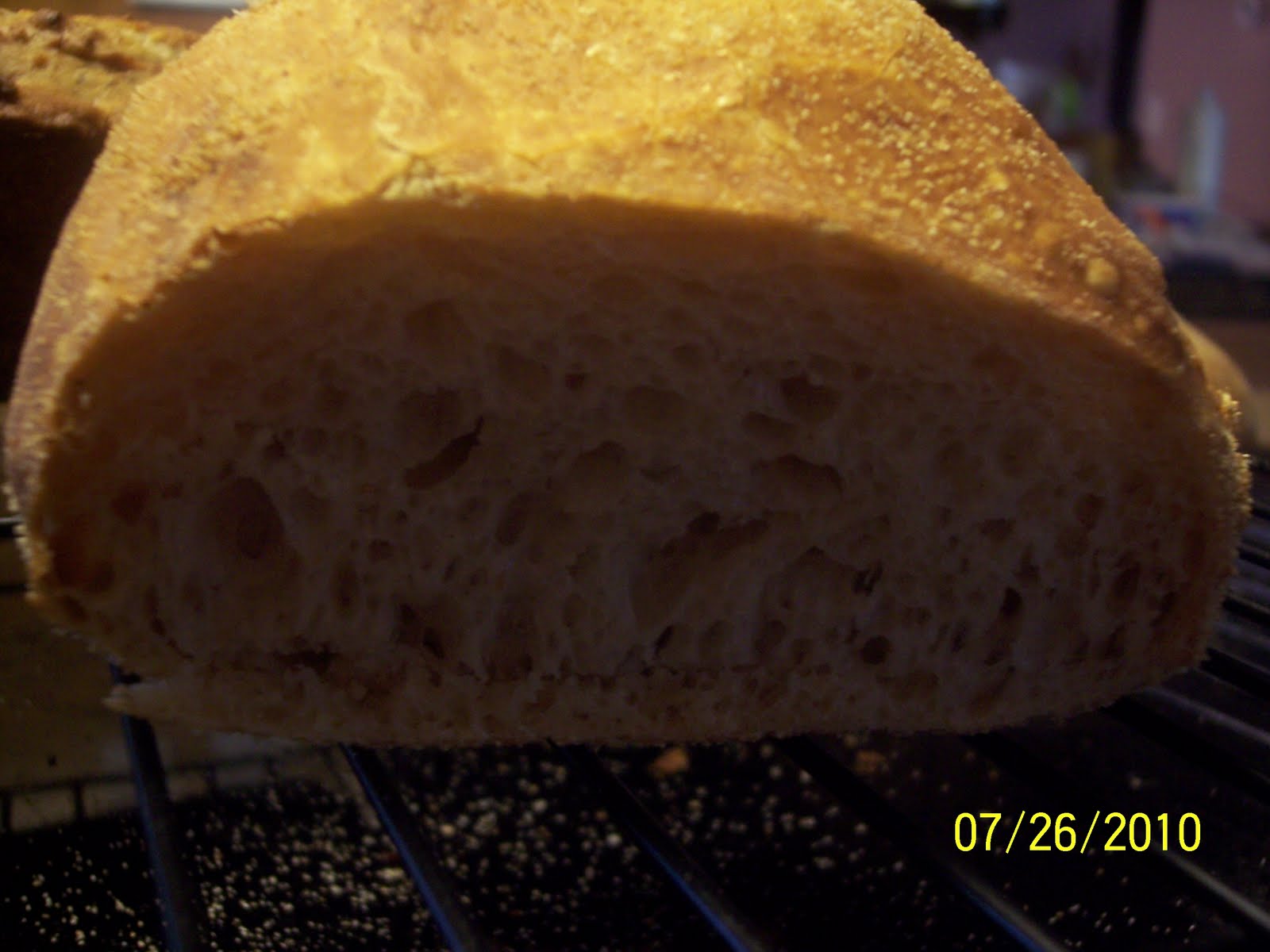 Judy's Bakery and Test Kitchen: Jim Lahey's bread--Testing Different ...