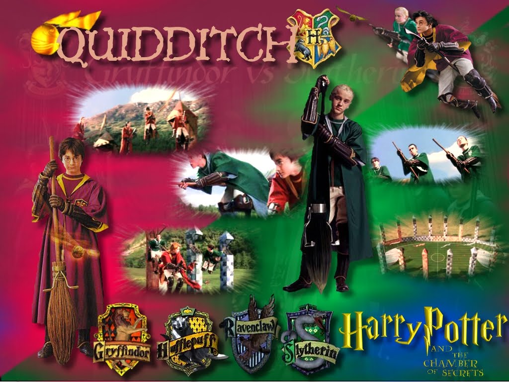 Gryffindor Quidditch: First Quidditch Match of the Season: Gryffindor ...