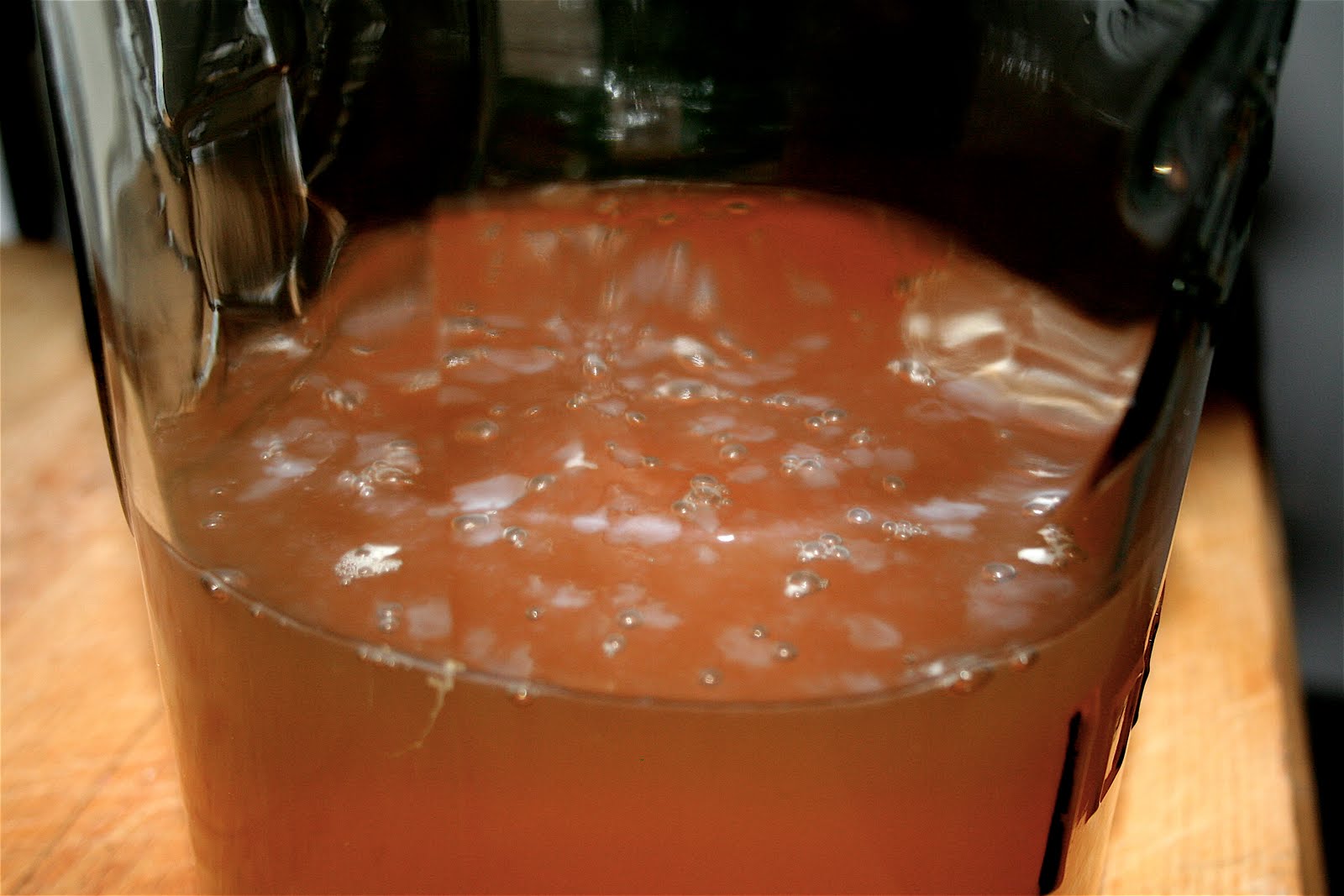 Moment to Moment: Grow your own Kombucha Mother.