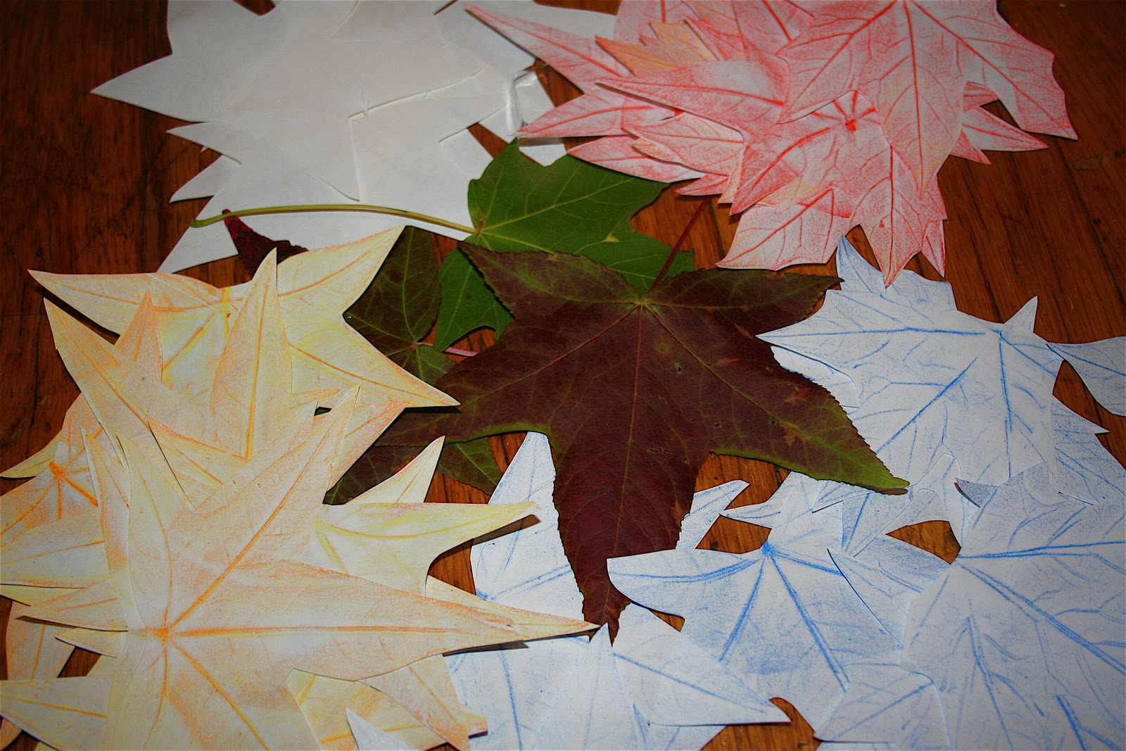 Moment to Moment: A weather chart tree