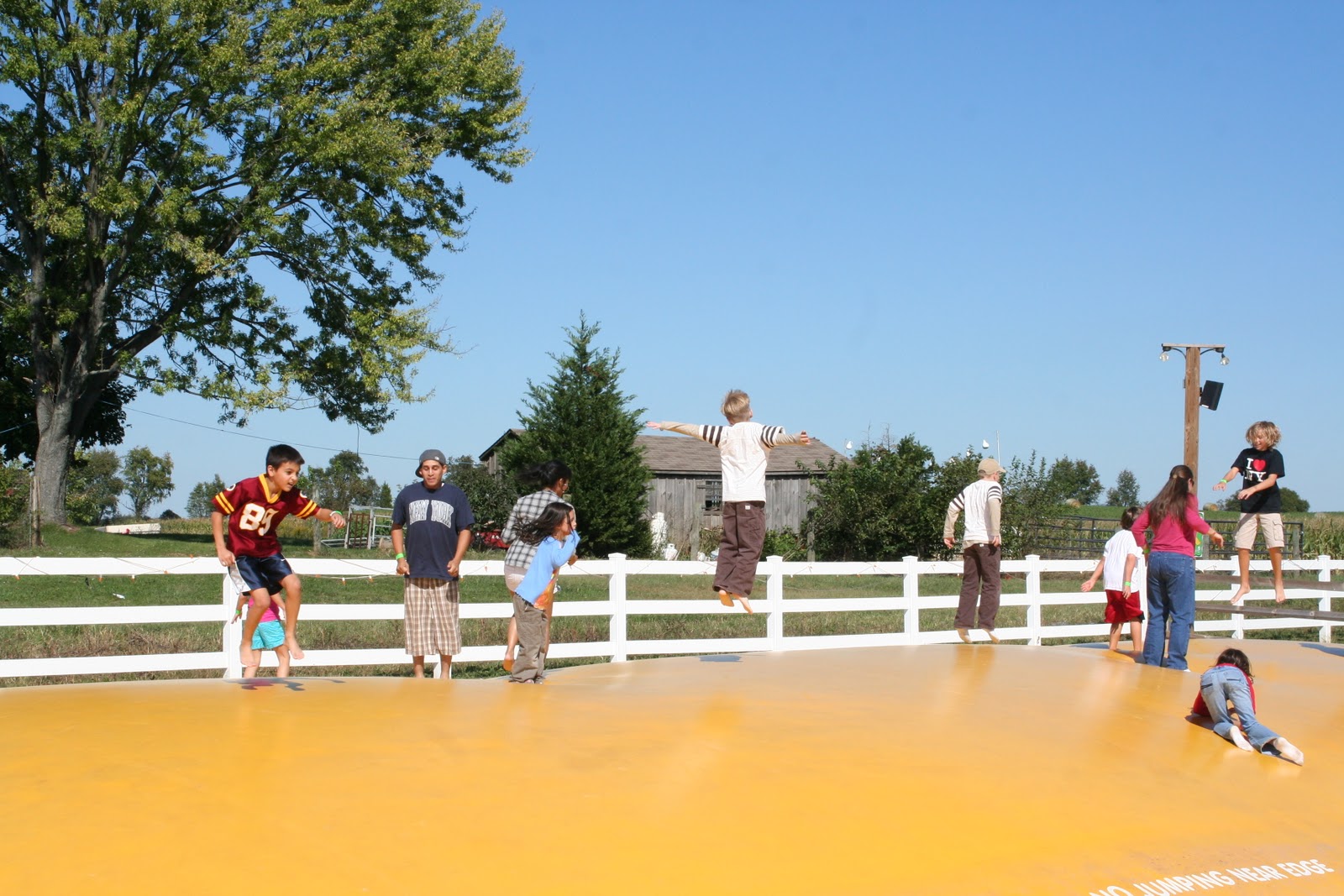 Regional Parks: Giant Corn Maze and More