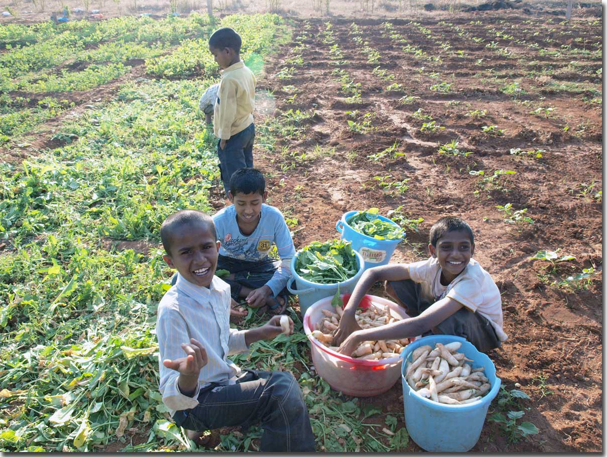 Operation Shanti: Our GiveIndia Listing for Indian Donors