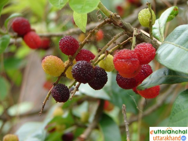 Uttrakhand Tourism: Garhwal Culture