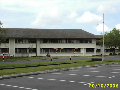 Irene's Green Green Grass of Miri: Lutong (2007)