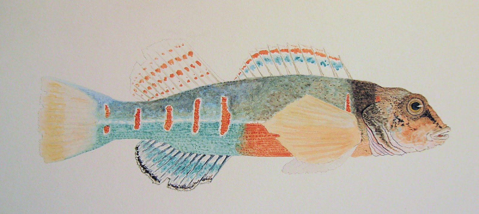 Thom Glace- Watercolor Artist: The making of 'Watercolor Study of ...