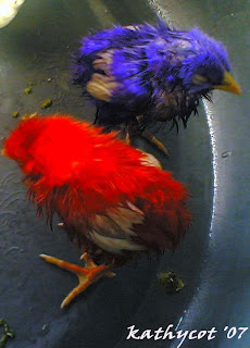 daily stories of a now SAHM: Basang Sisiw! Colored Version ;p