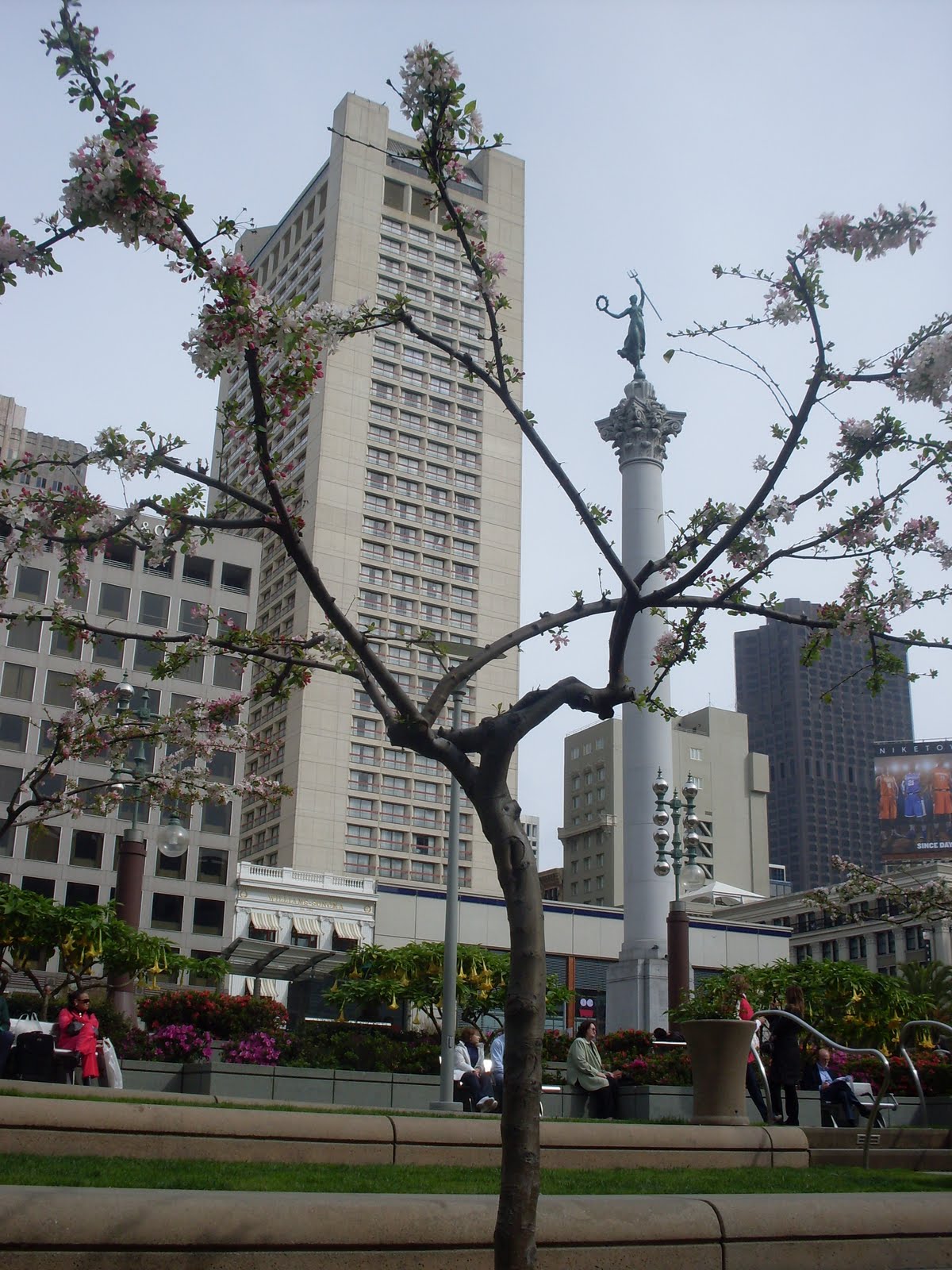 Urban Science Adventures! ©: Travelog San Francisco: Blooms from The Bay