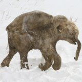 Urban Science Adventures! ©: The National Geographic Channel Presents ...