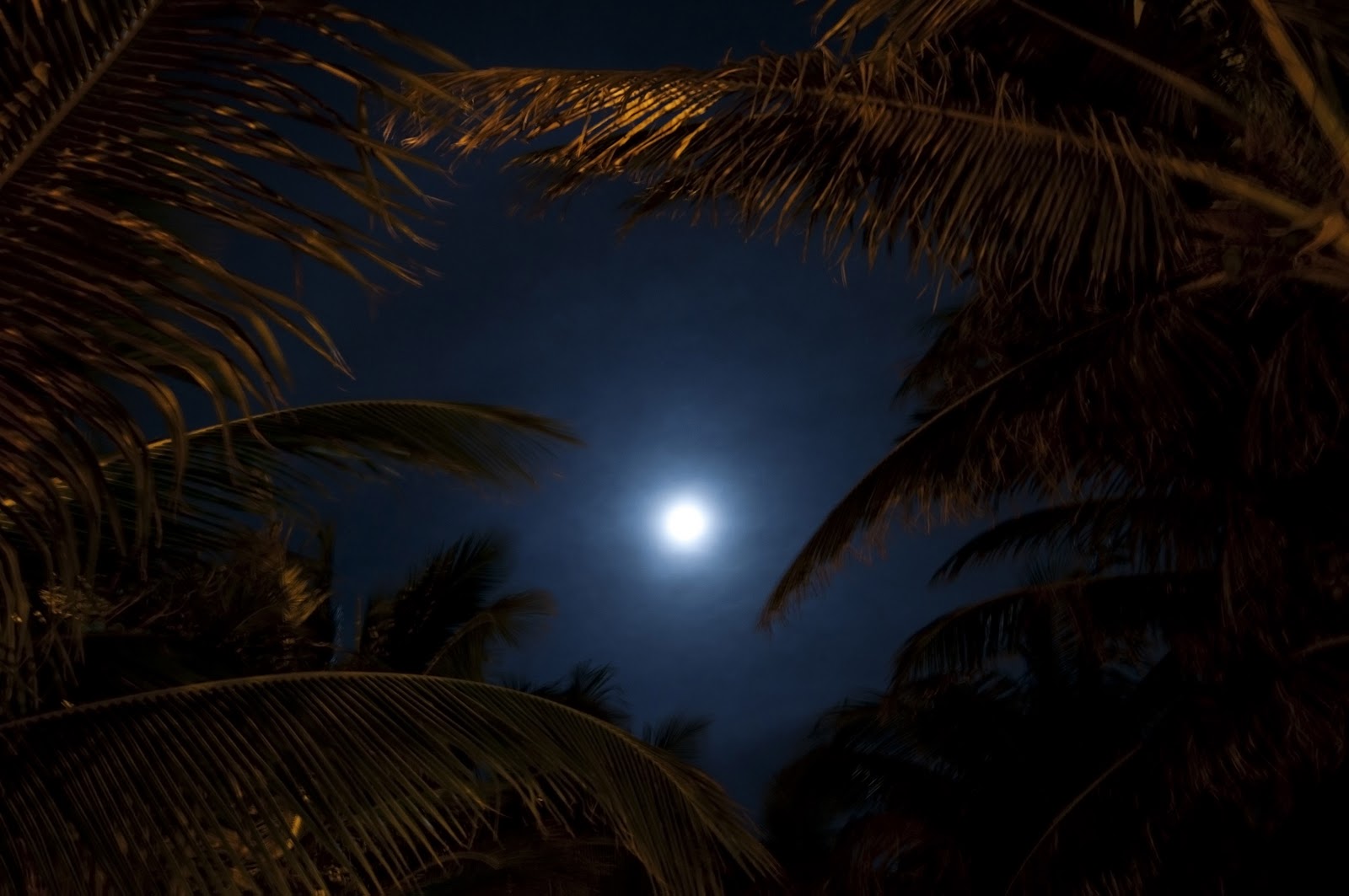 Slight Chance Of Pixels