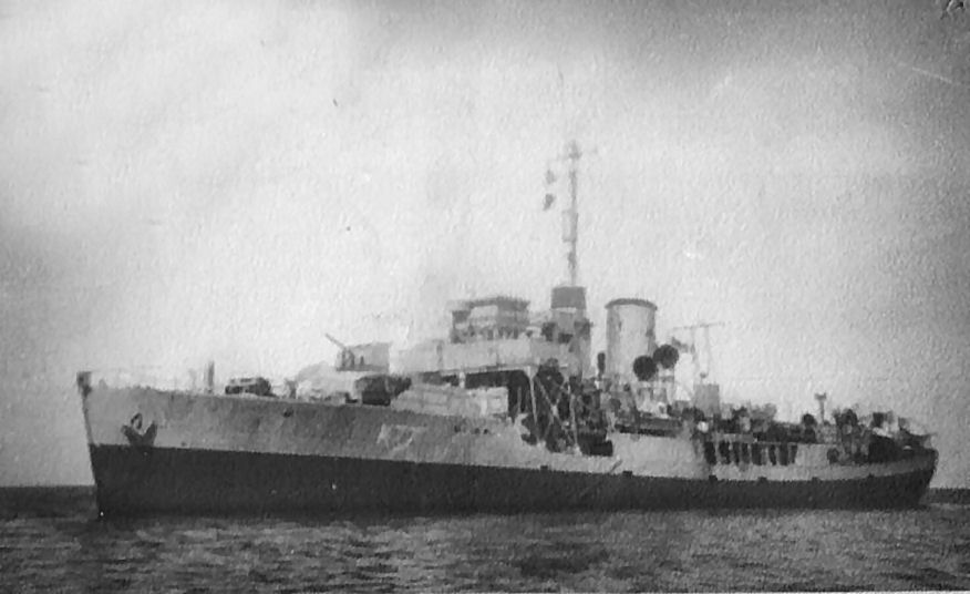 Leith Built Ships: H.M.S. Delphinium