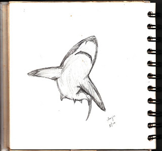 "Oh, Dakuwaqa!" - The Shark comics and cartoons: A little bit of History