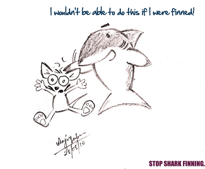 "Oh, Dakuwaqa!" - The Shark comics and cartoons: The fin has better ...