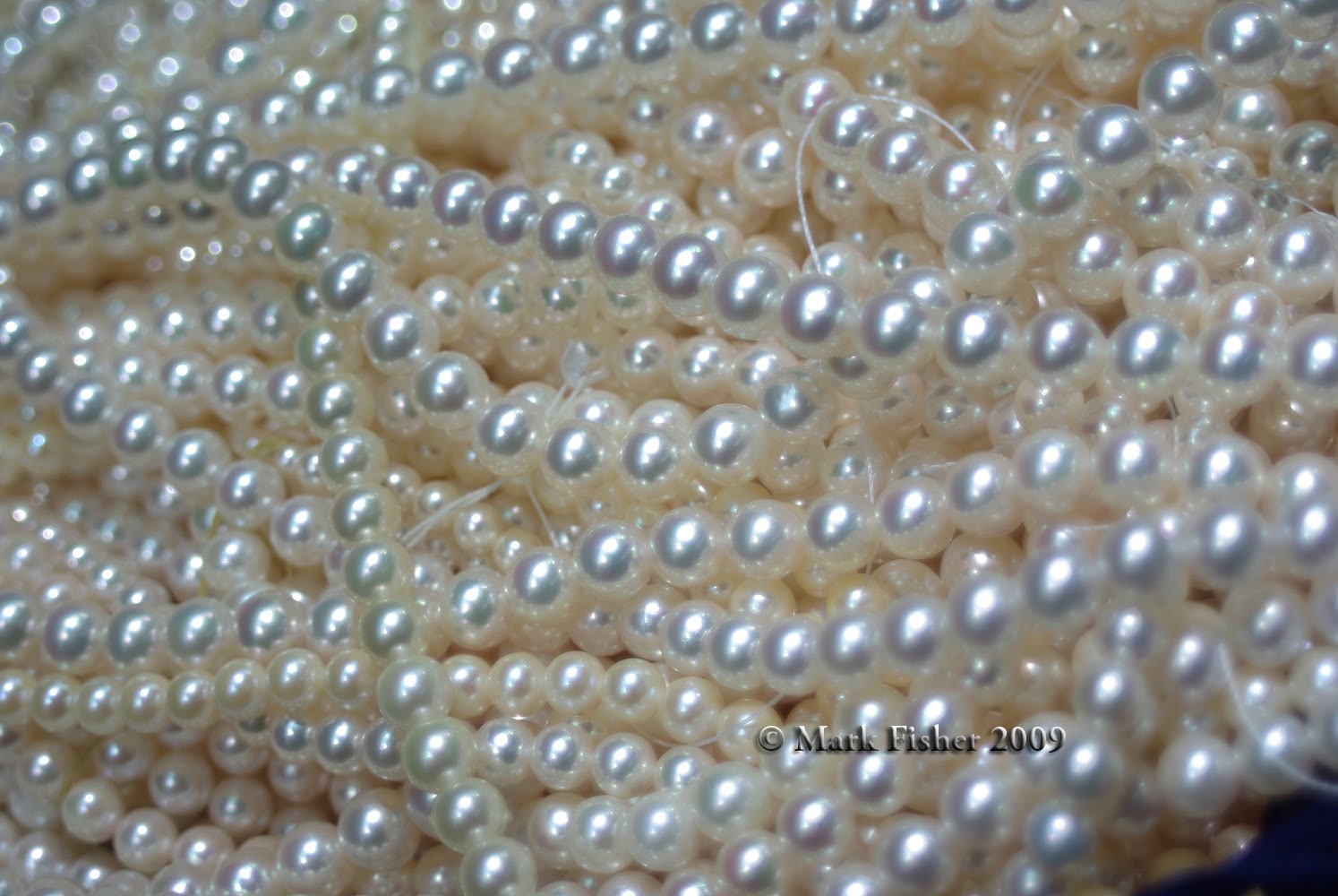 Mark Fisher American Photographer™: Strings Of Raw Pearls - American ...