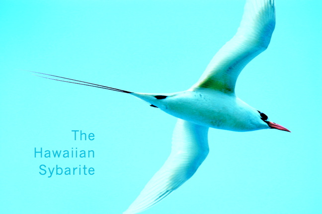 The Hawaiian Sybarite: Quality of Life Improvement 9: David Hicks