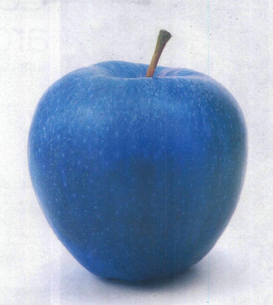 Memoria fotográfica: abril 2010