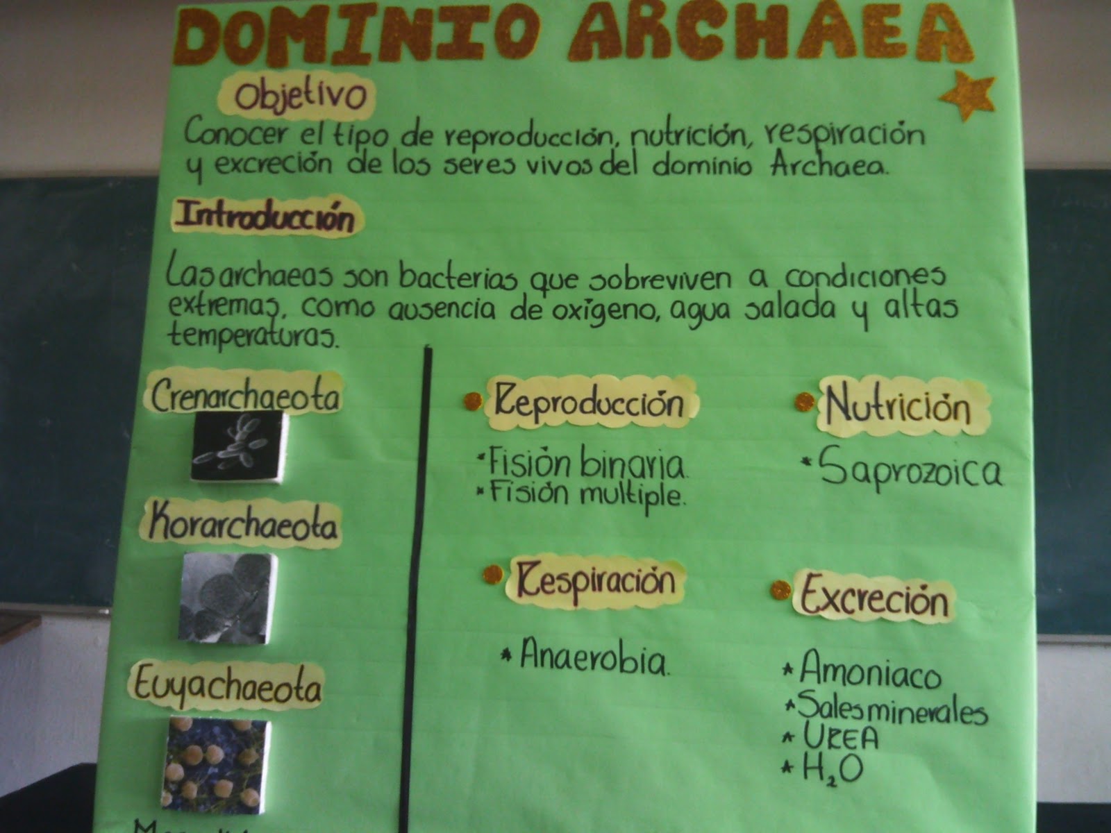 Biología3DC.B.T.I.S77: Dominio Archaea