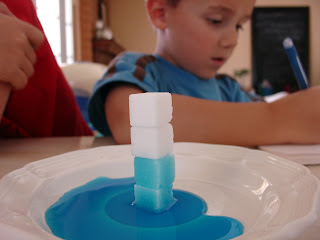 Kaylee & Co.: Science Experiment #7:: Water Absorption