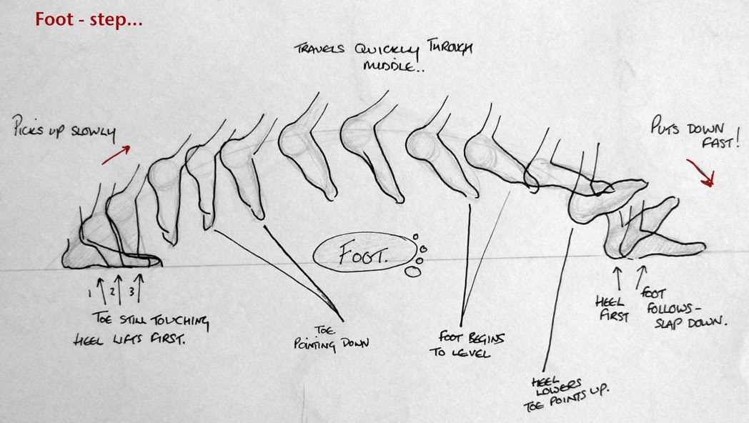 Animation & Illustration...: WalkCycle