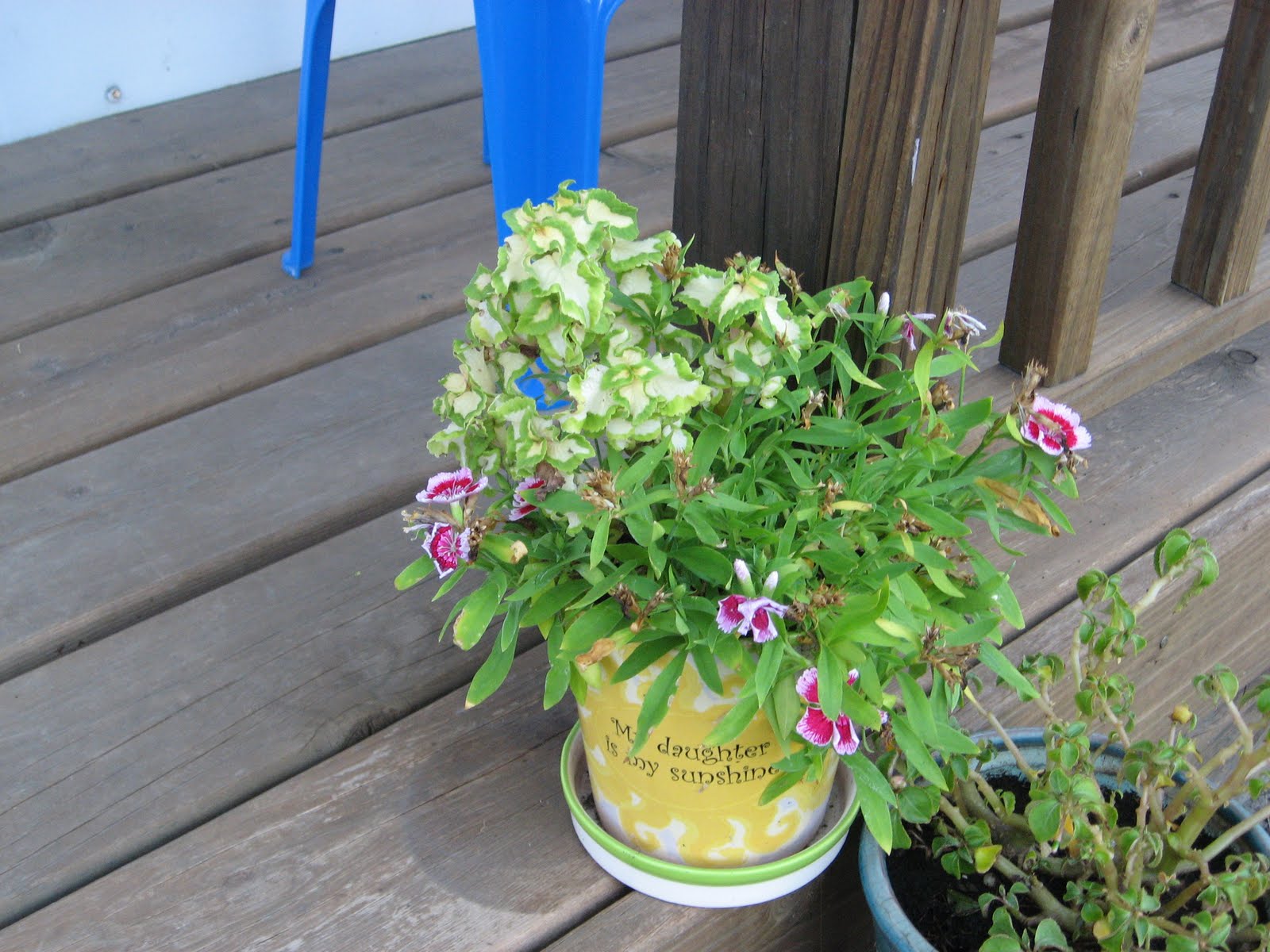 Tablescaping Escapades: Bountiful Fruits, Part 1