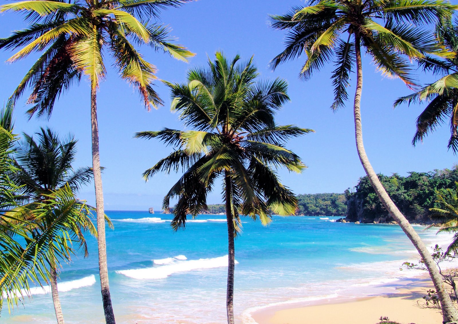 Buying Beach Front Properties in The Caribbean: Buying Real Estate ...