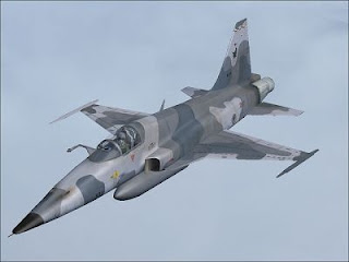 F-5E Alphasim FSX ~ Fs Mega