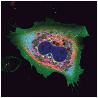 Reference : http://www.nature.com/