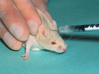 VIROLOGY! ANY CLUE?: I-S-O-L-A-T-I-O-N...Not your usual "Lemon Tree" tune.