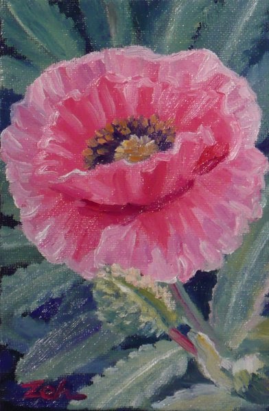 Pink Poppies Painting