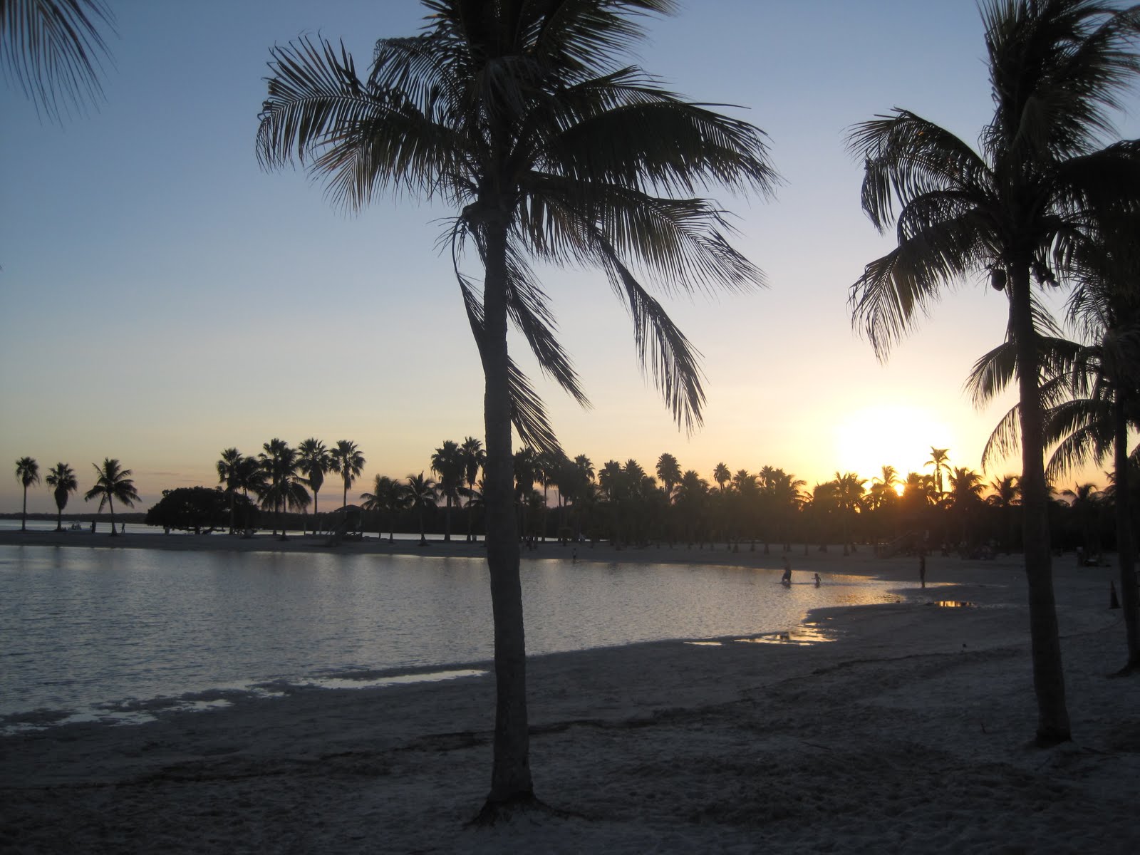 JetSet Coco: Red Fish Grill Miami