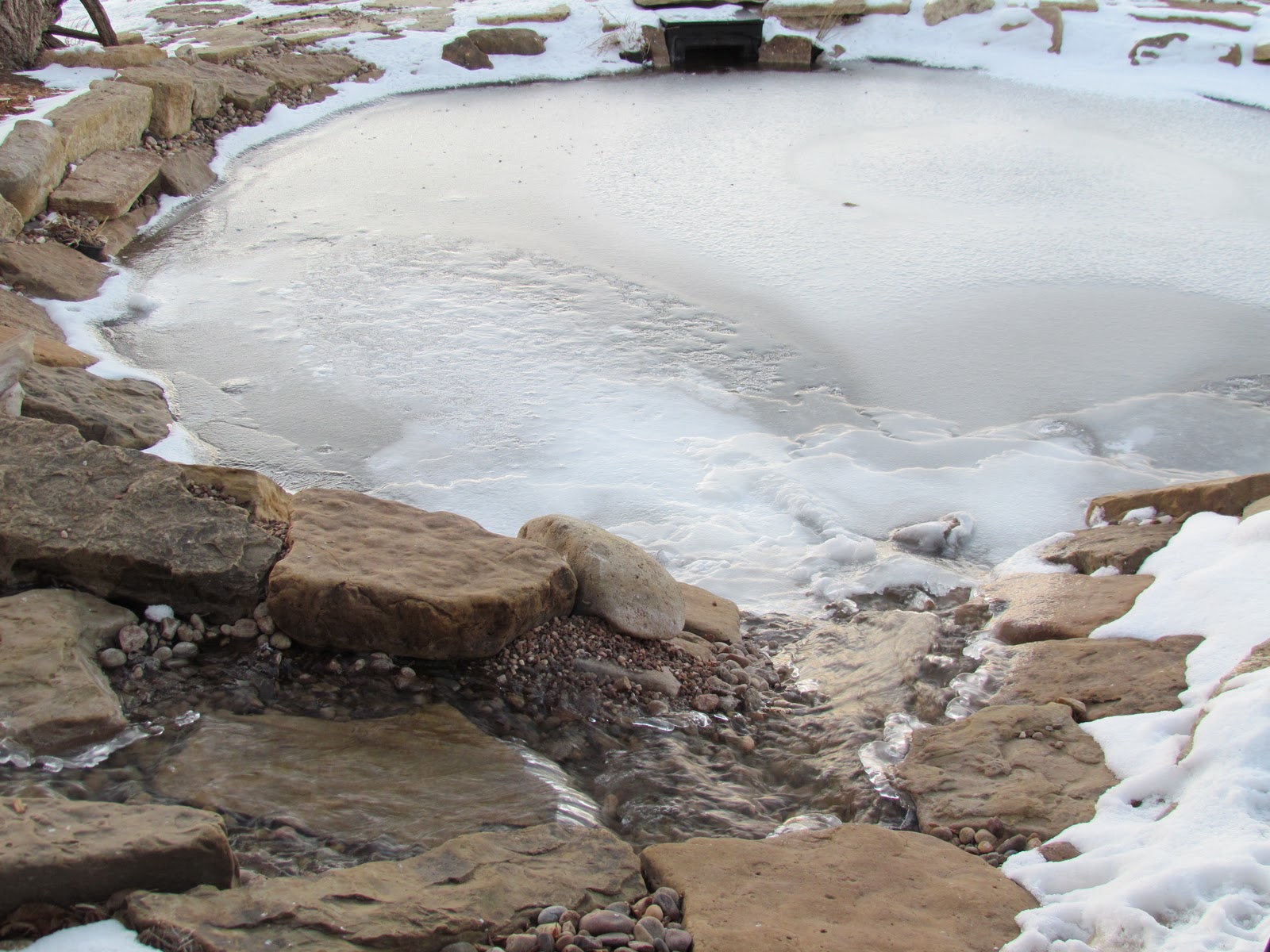 There's no place like Home: On Frozen Pond