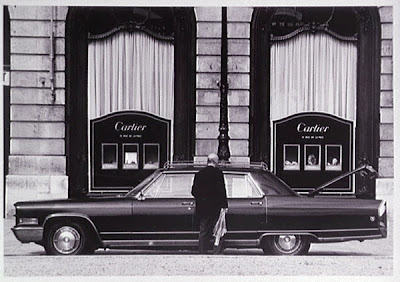 Mil bosques en una bellota: Tom Drahos