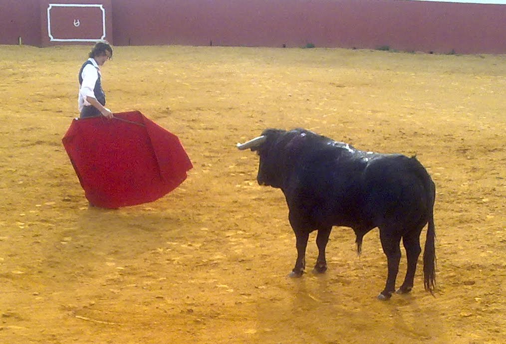 .: Lidia de dos toros a puerta cerrada en la ganadería Hnos. Domínguez ...
