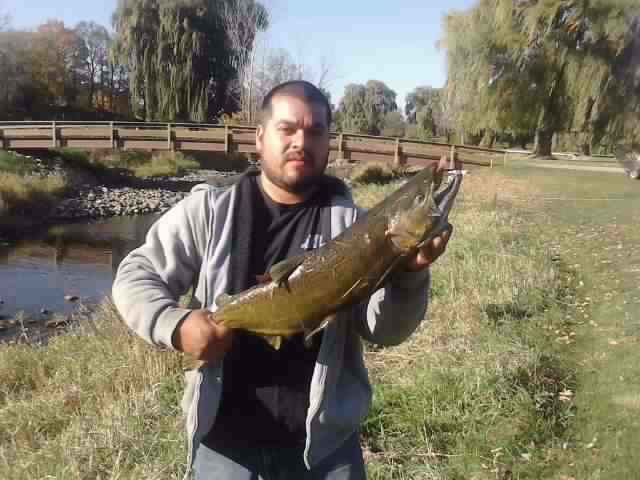 Illinois Wisconsin Fishing: fly fishing salmon on the pike river ...