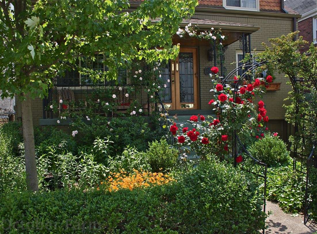 Rose Covered Cottage