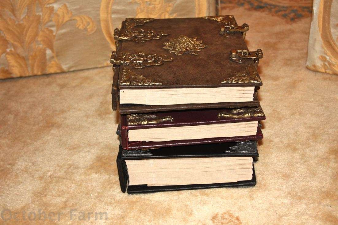 The Original Practical Magic Spellbook