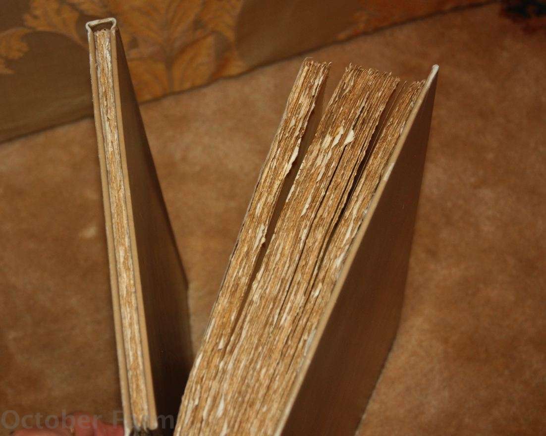 The Original Practical Magic Spellbook