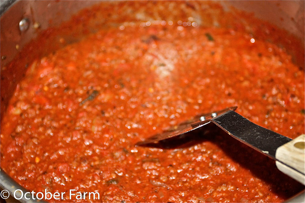 The Best Spaghetti You will Ever Eat and a Bat